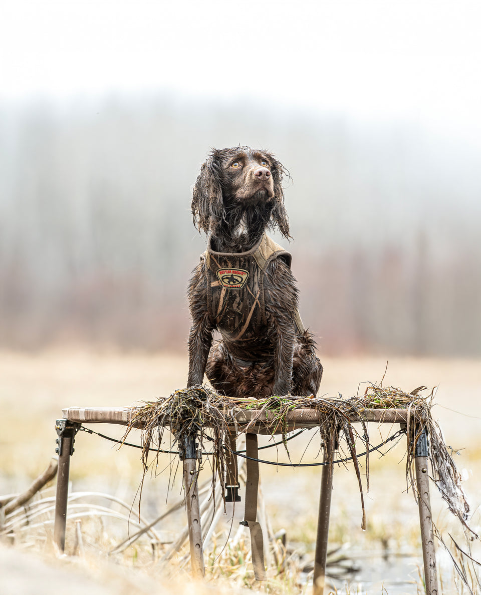 Swamp Bully™ Dog Stand – Rig'Em Right