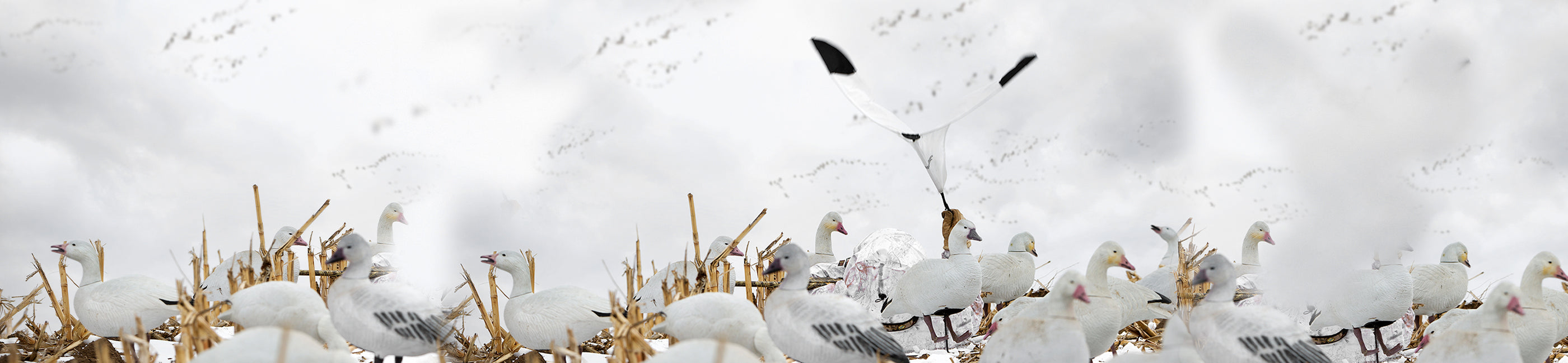 Hypnotizer Snow Goose Flag – Rig'Em Right