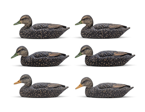 Mainline Series™ Black Duck – Rig'Em Right