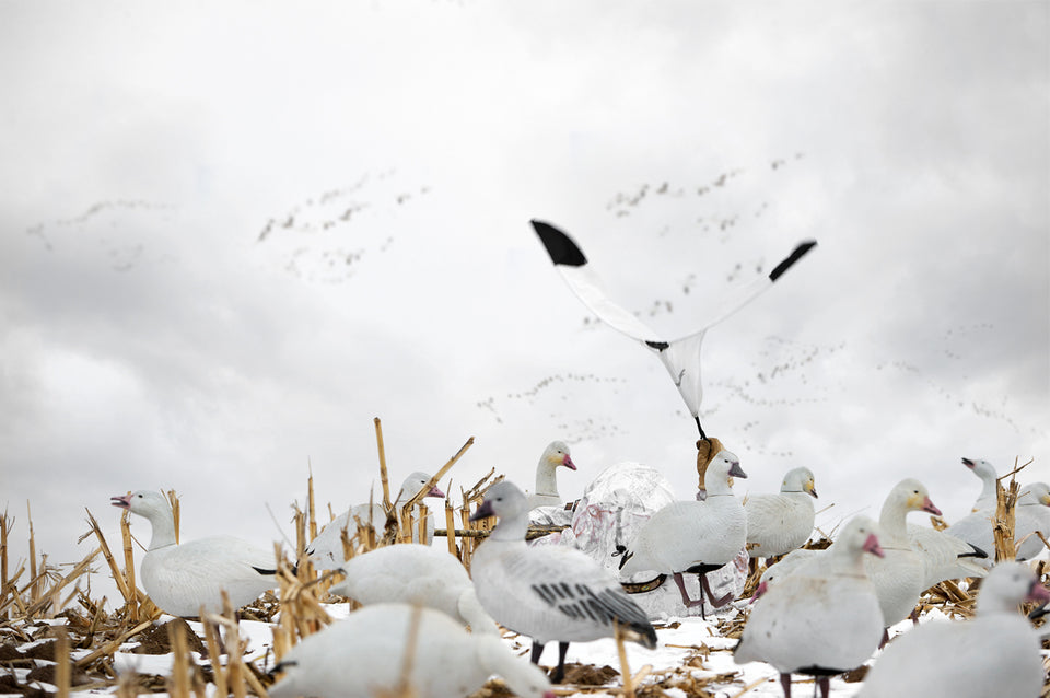 Hypnotizer Snow Goose Flag – Rig'Em Right